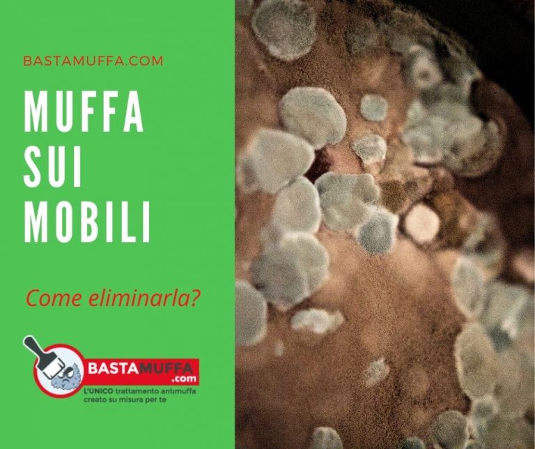 Muffa dietro all'armadio: come eliminare l'ospite indesiderato!