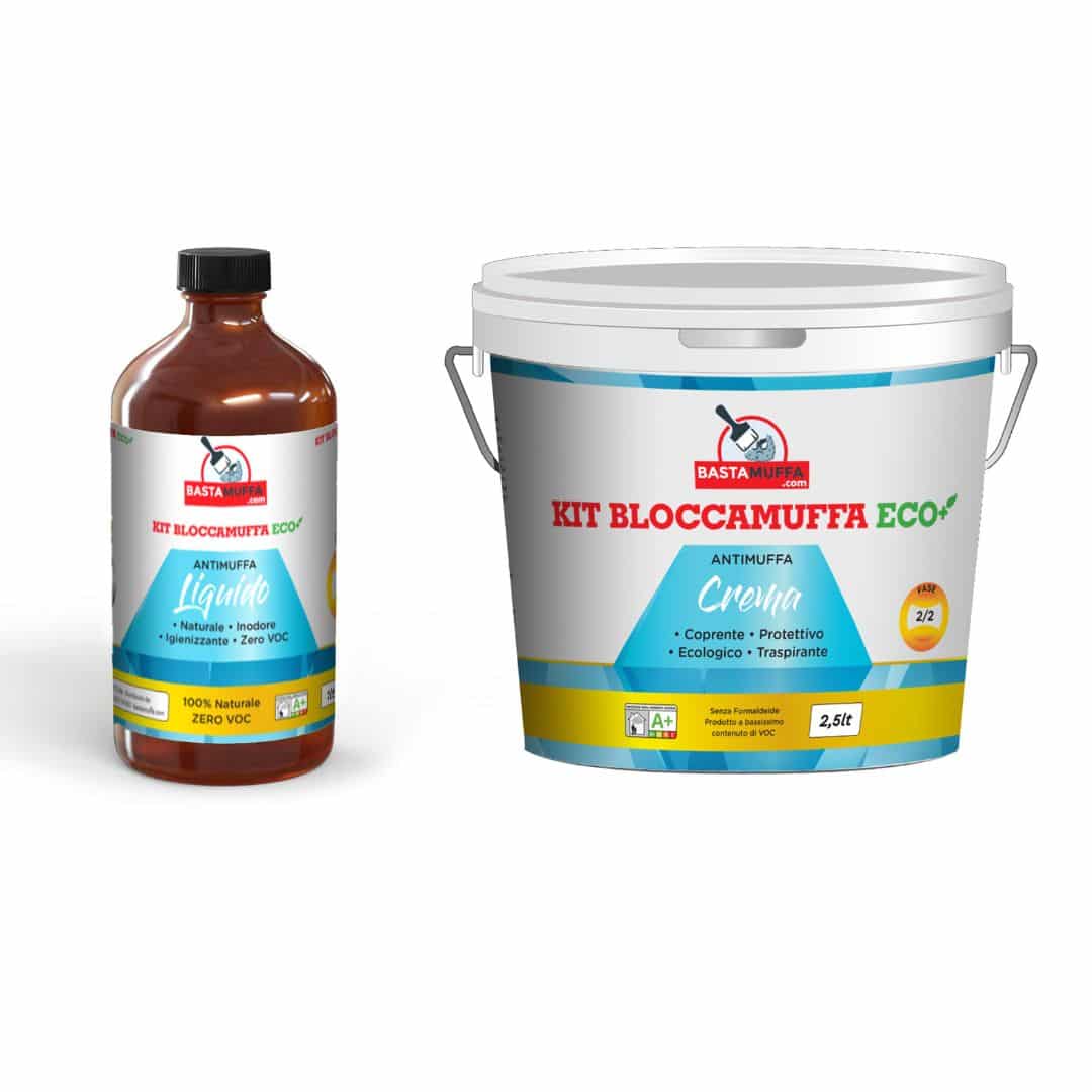 Muffa sul soffitto : quali sono le cause e come risolvere il problema?